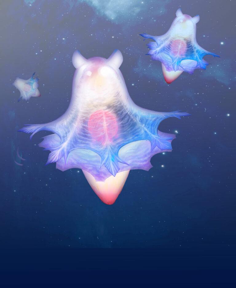 Moon Slug | Monsters, Real and Fantastic